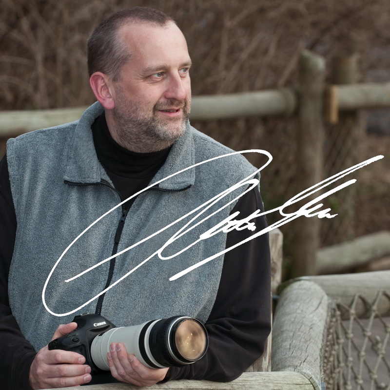 Christian Sperka – 2011 – E2 – Christian Sperka Photography | Custom ...