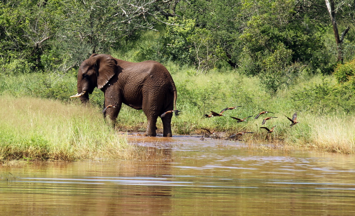 He hates ducks … – Christian Sperka Photography | Custom Luxury Tours